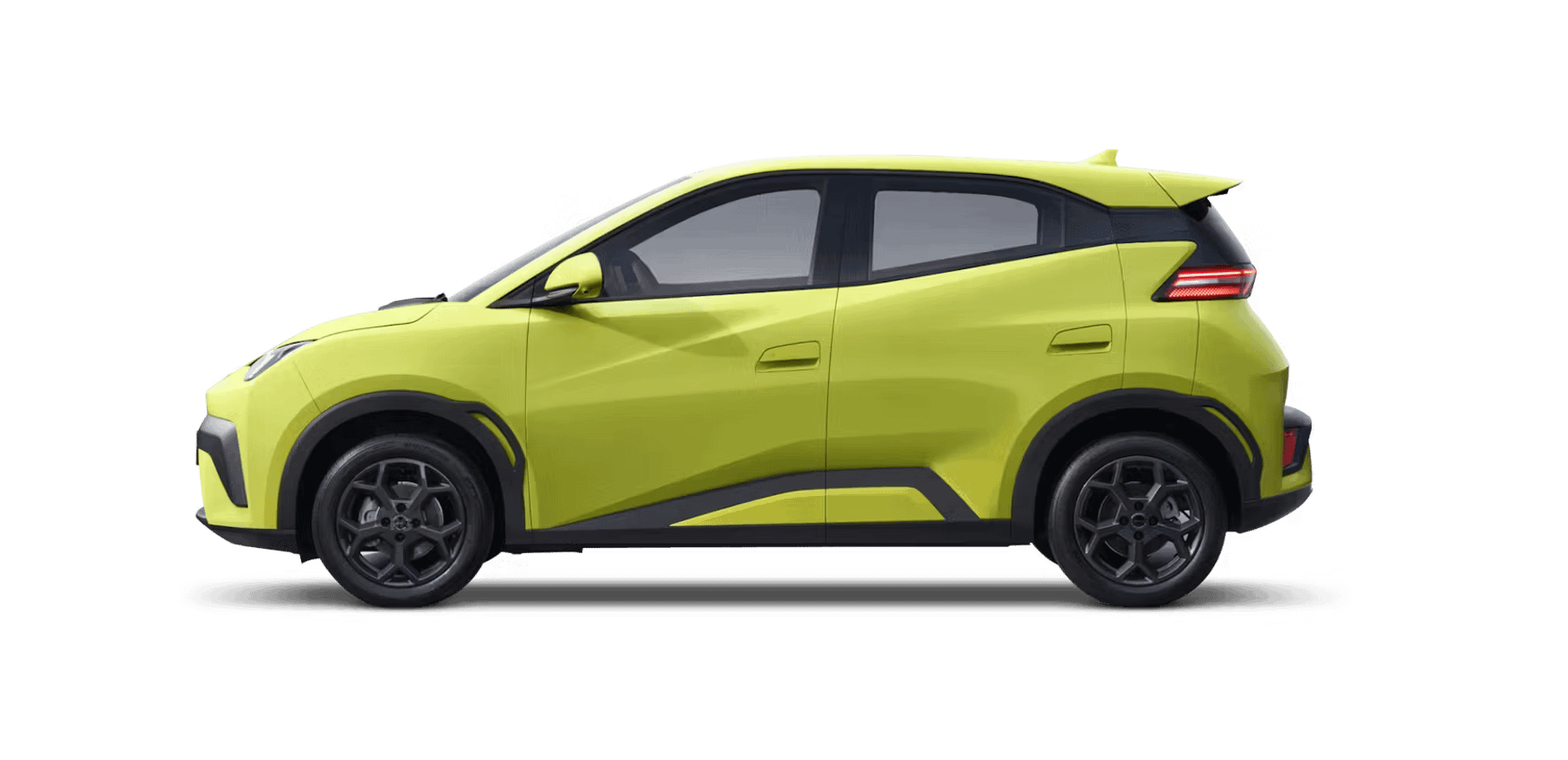 All-New DOLPHIN SURF | Cardiff, South Wales | Sinclair BYD