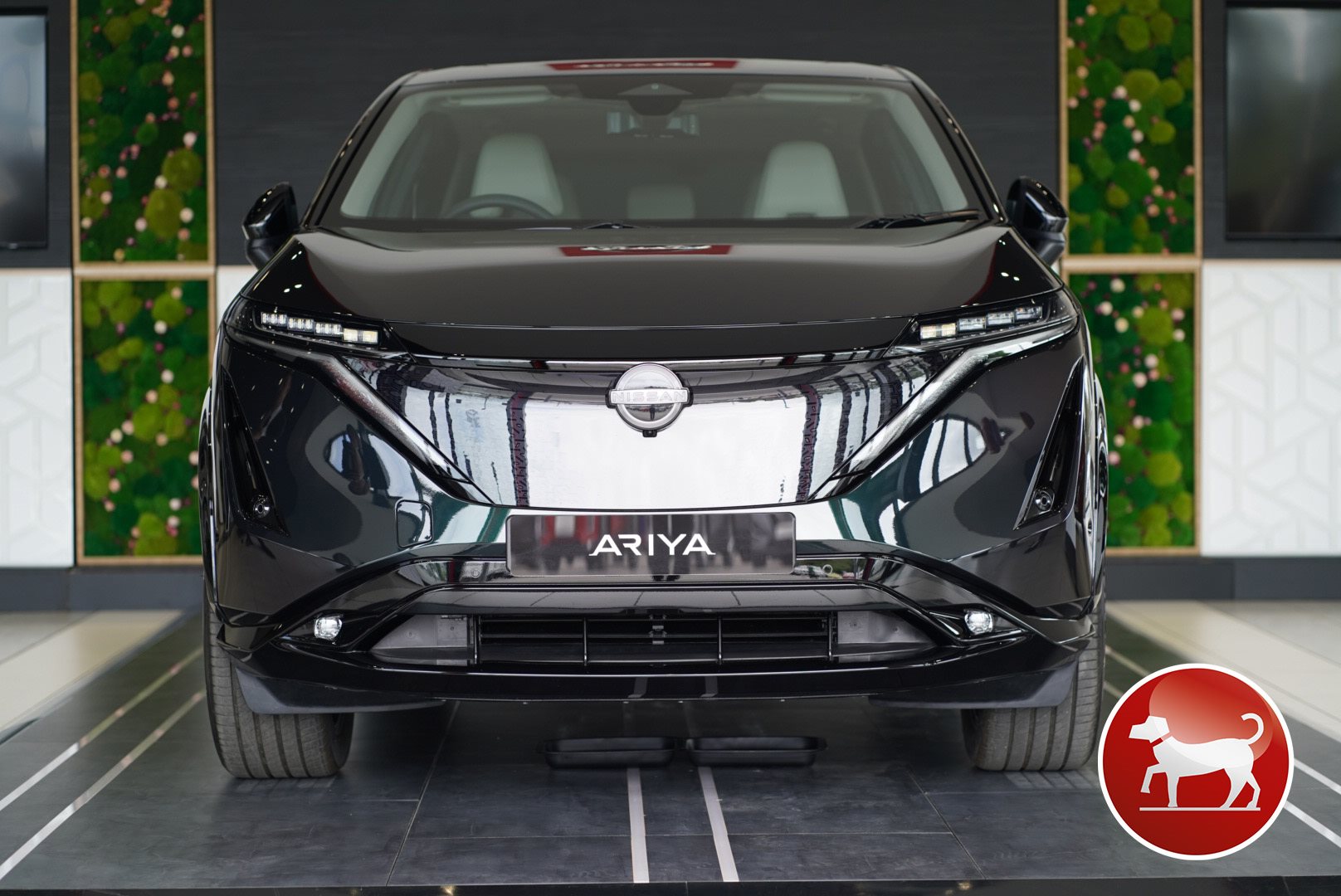 All-electric Nissan ARIYA highly commended in the 2024 Business ...
