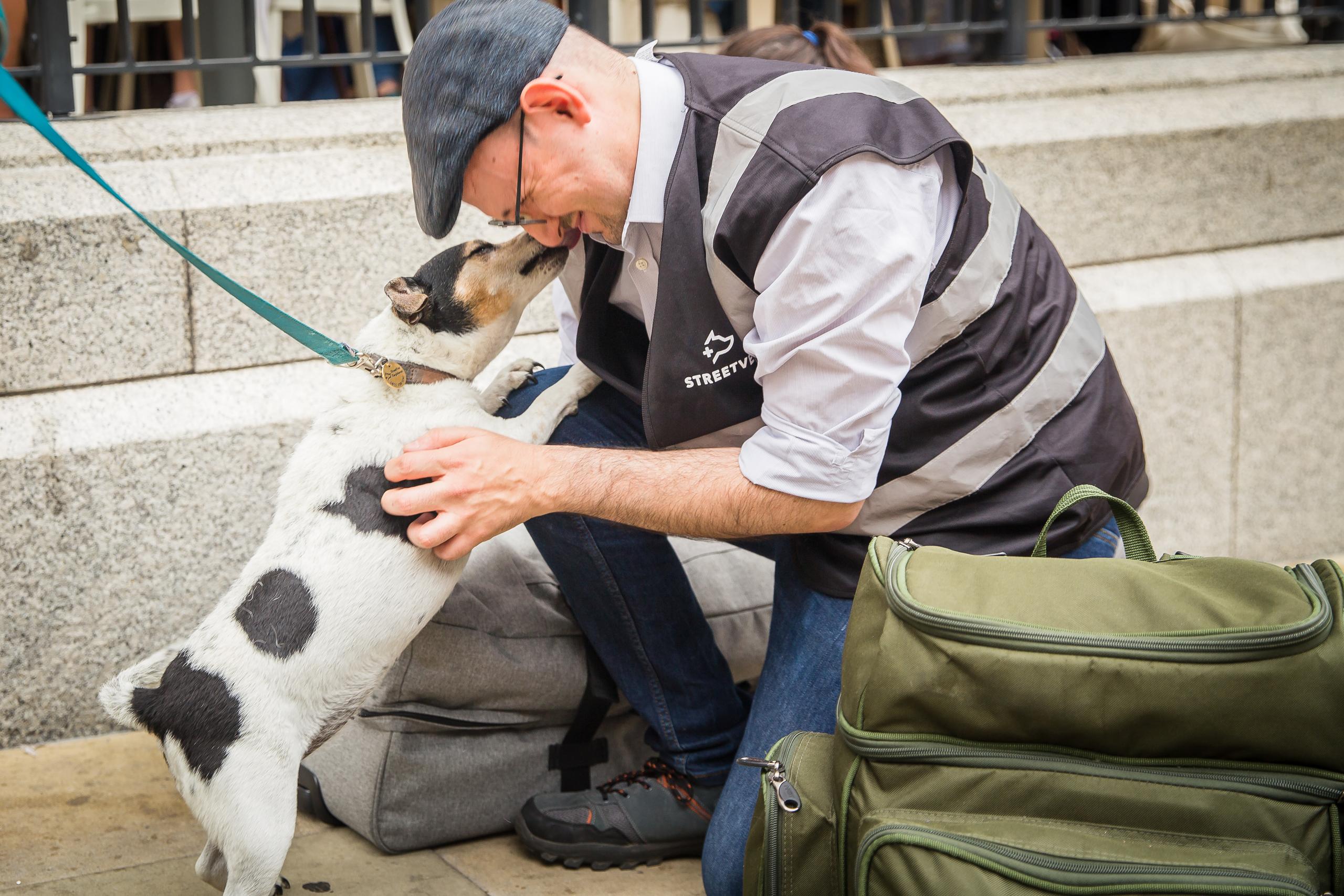 StreetVet Month Results