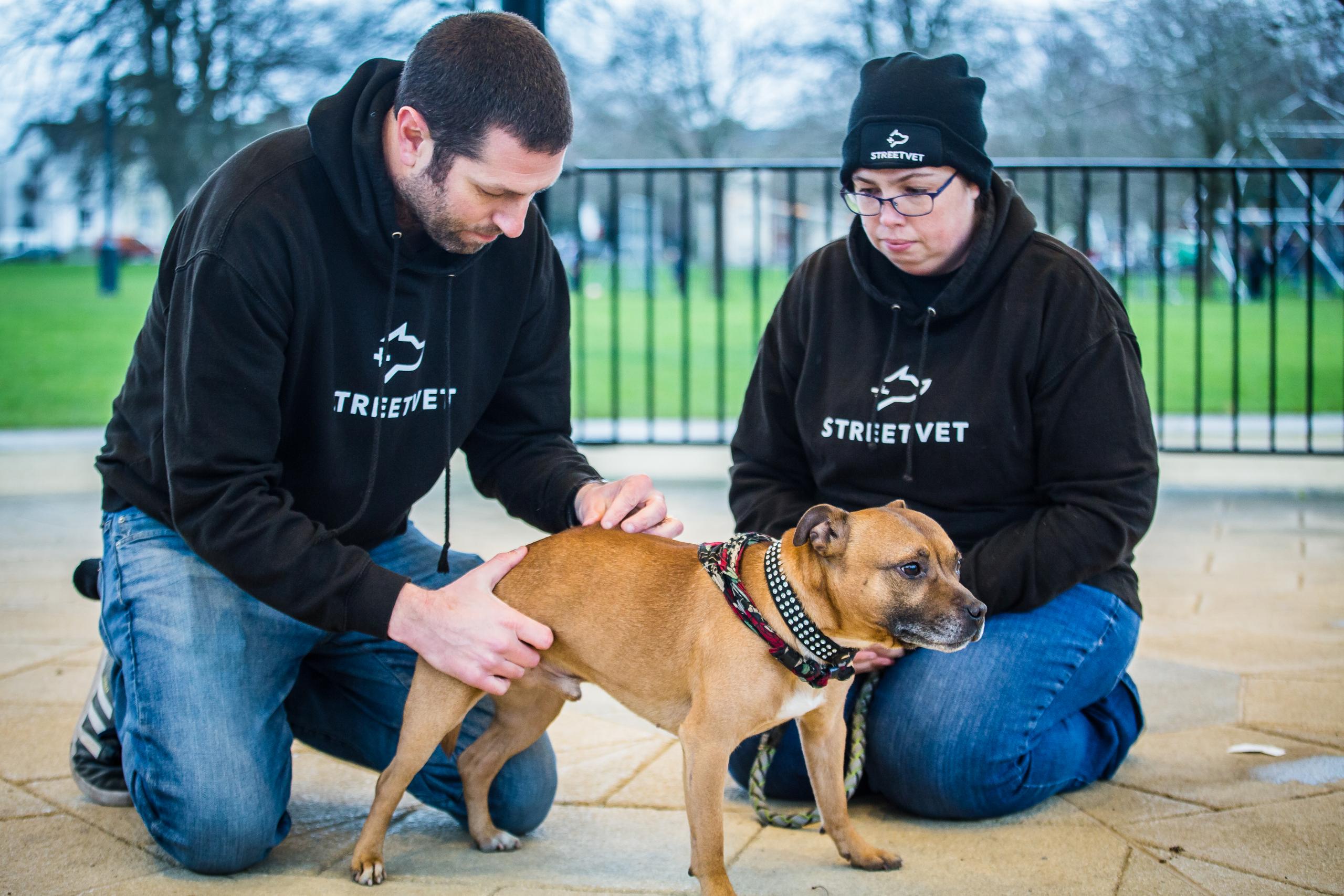 Charity of the year: StreetVet | Newton Abbot & Plymouth | Murray Group