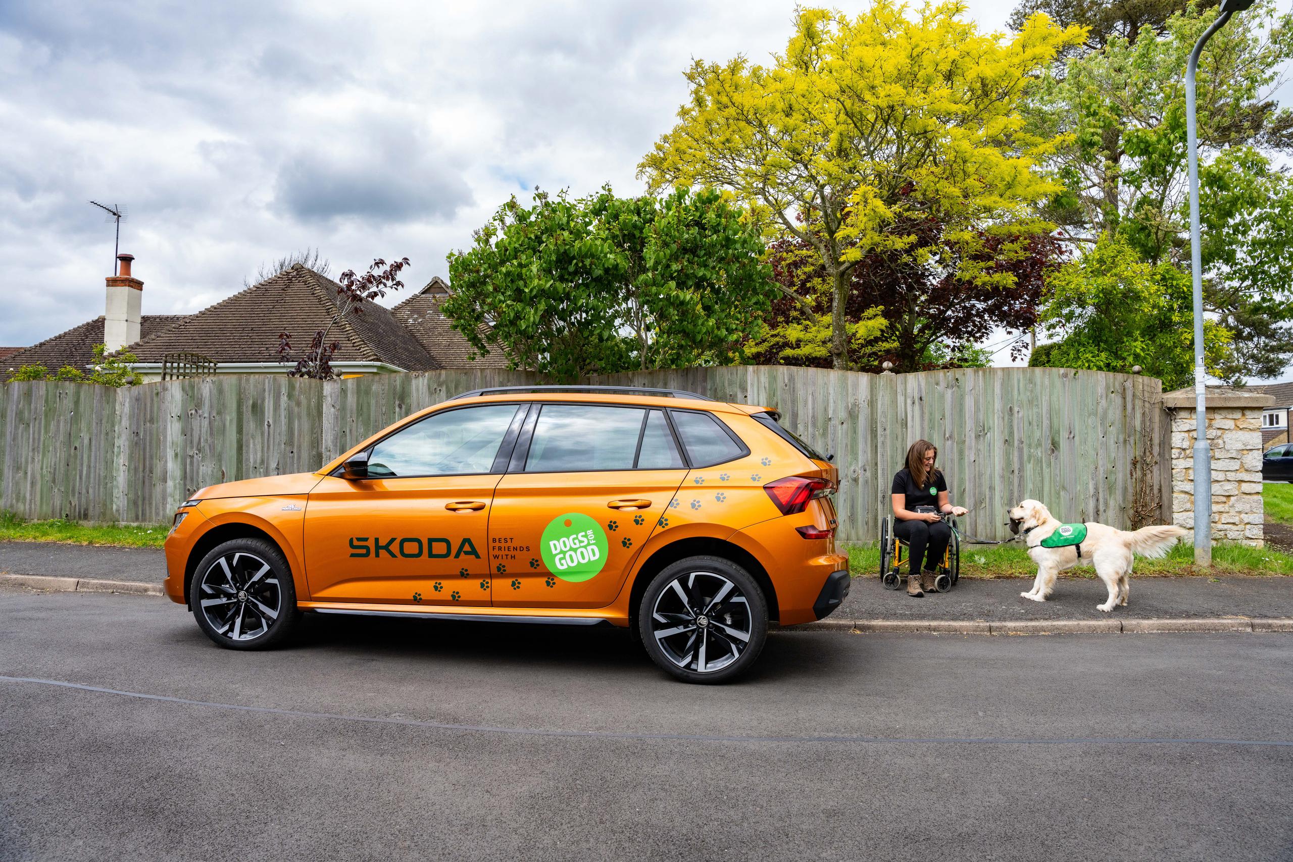 Skoda and Dogs, The Perfect Match | Plymouth | Murray Group