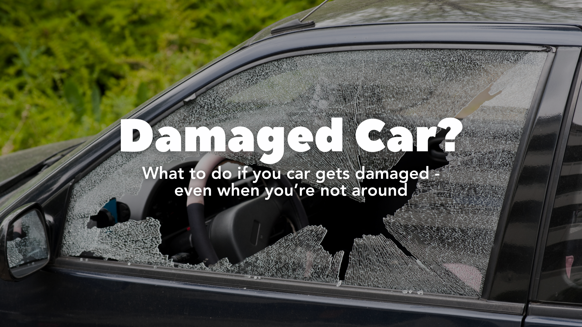 What To Do If Your Car Has Been Damaged
