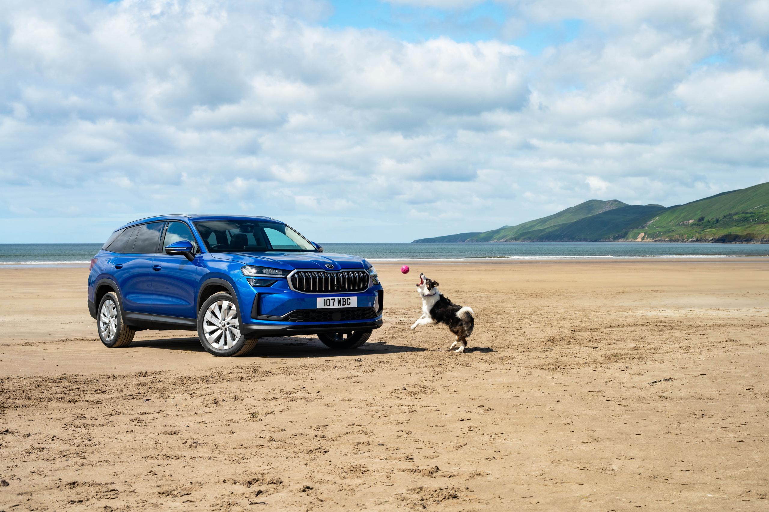 Skoda and Dogs, The Perfect Match | Plymouth | Murray Group