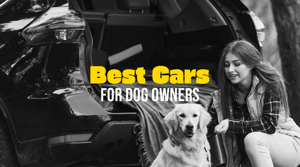 Best Cars for Dog Owners | Pet-Friendly Cars for Every Breed